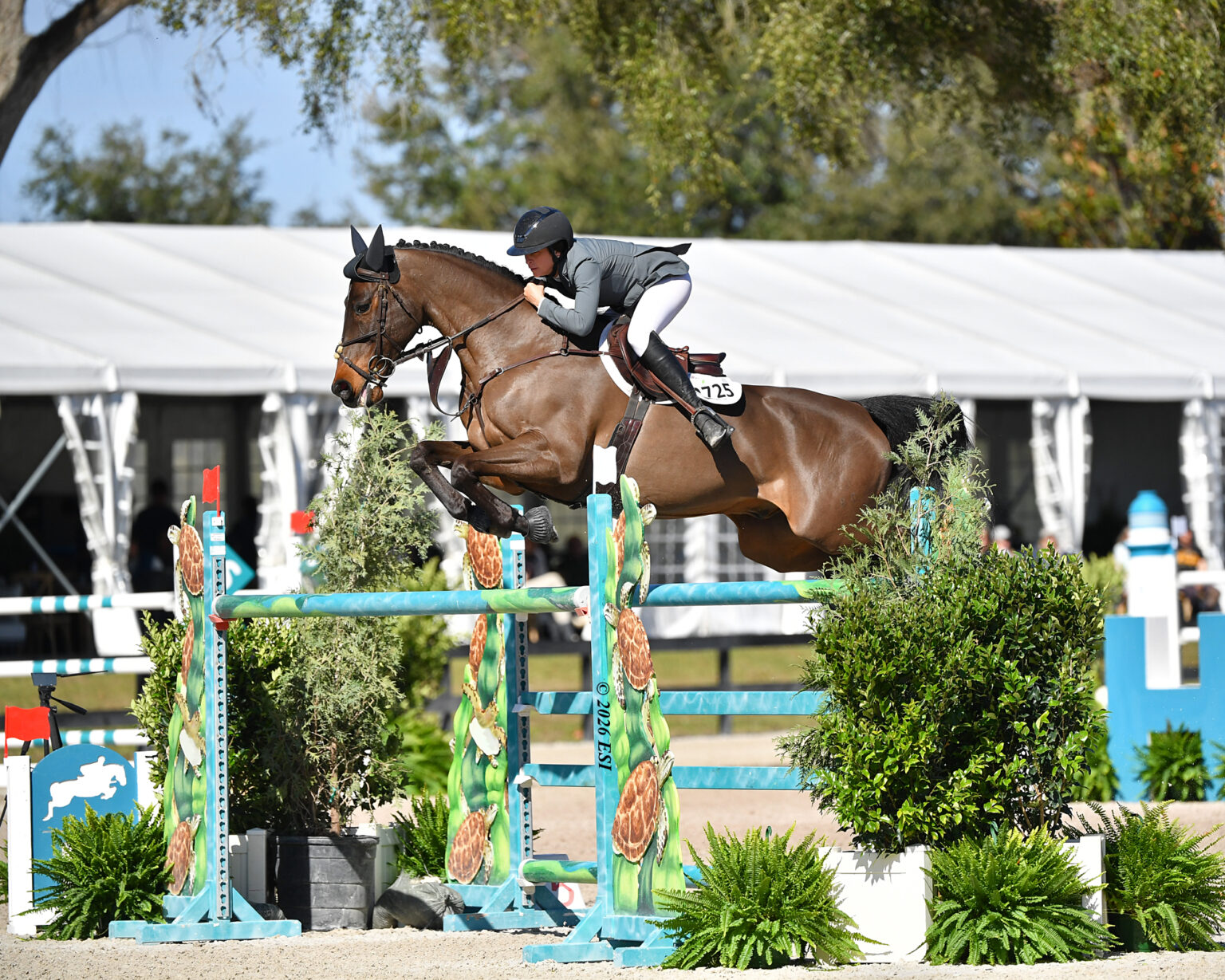 MTM Apple and Tracy Fenney Deliver a Fresh Win in the $60,000 HITS ...